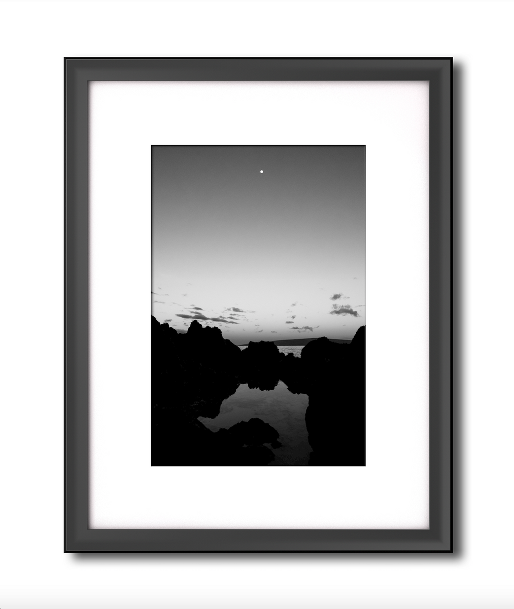 High Moon – Vantage Fine Art